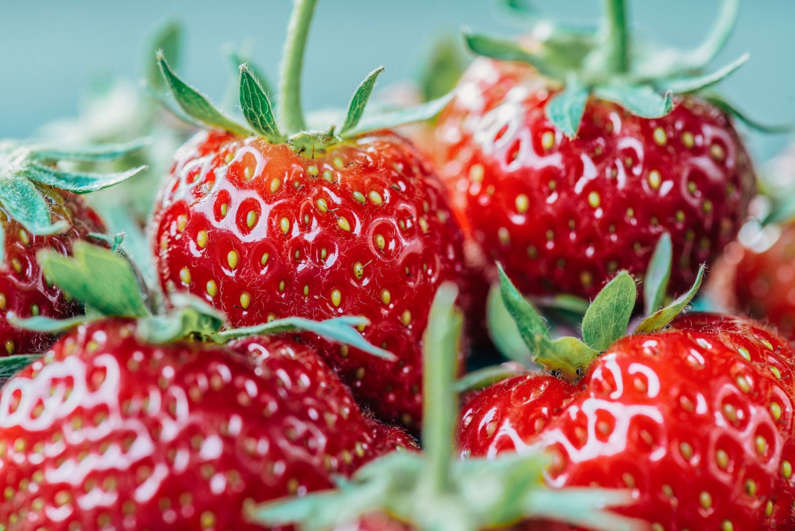What's on Shetland | Strawberry Teas - What's on Shetland